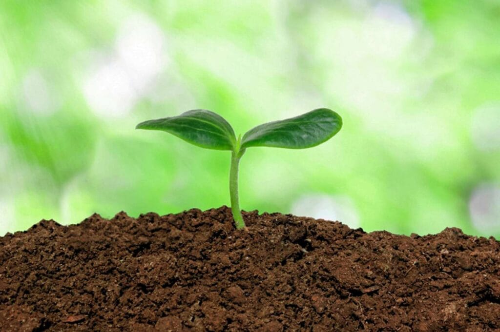Transforming Soil: Organic Soil Conditioner Guide - Garden Crafter